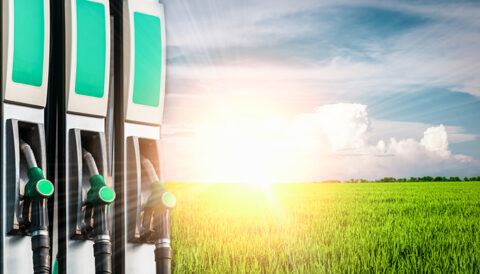 Qu’est-ce que le biocarburant ? | Picoty