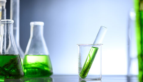 Qu’est-ce que le biocarburant ? | Picoty